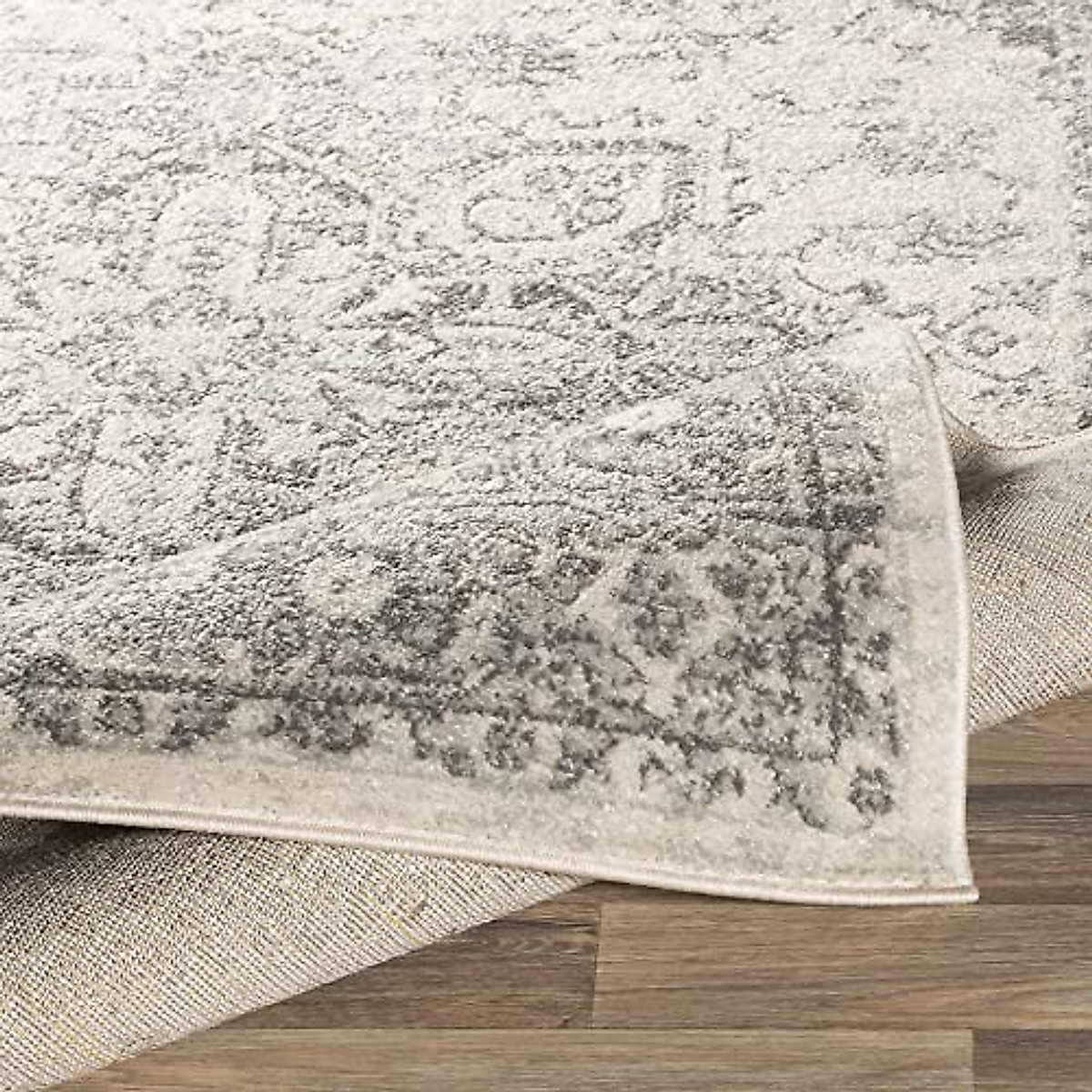 Hauteloom Rockfall Hallway, Kitchen Runner Rug - Traditional - Gray, Beige - 2'7" x 7'3"