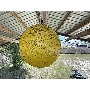 Gnat Ball Deluxe kit - Gnats, House Fly, No-See-Um, Aphids whiteflies,and Love Bug Trap