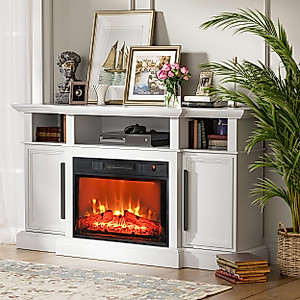 HolliWill 23 Inches Electric Fireplace Insert Heater, Realistic Adjustable Flames and Wireless Remote Control, Built-in Timer & Thermostat, Overheat Protection, Indoor Black 3D Infrared Fireplace