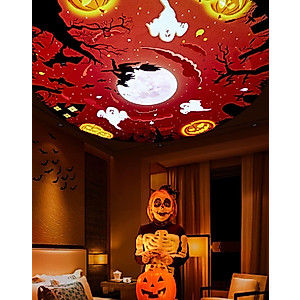 LaView Halloween & Thanksgiving Disc Set Galaxy Projector Suitable for Thanksgiving Gift for Family and Friends,Night Light for Kids Adults Baby Nursery and Bedroom Decoration