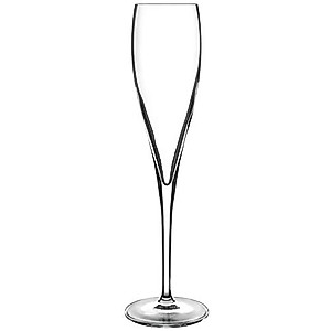 Luigi Bormioli Styles 6 oz Sparkling Wine Glasses (Set Of 2), Clear
