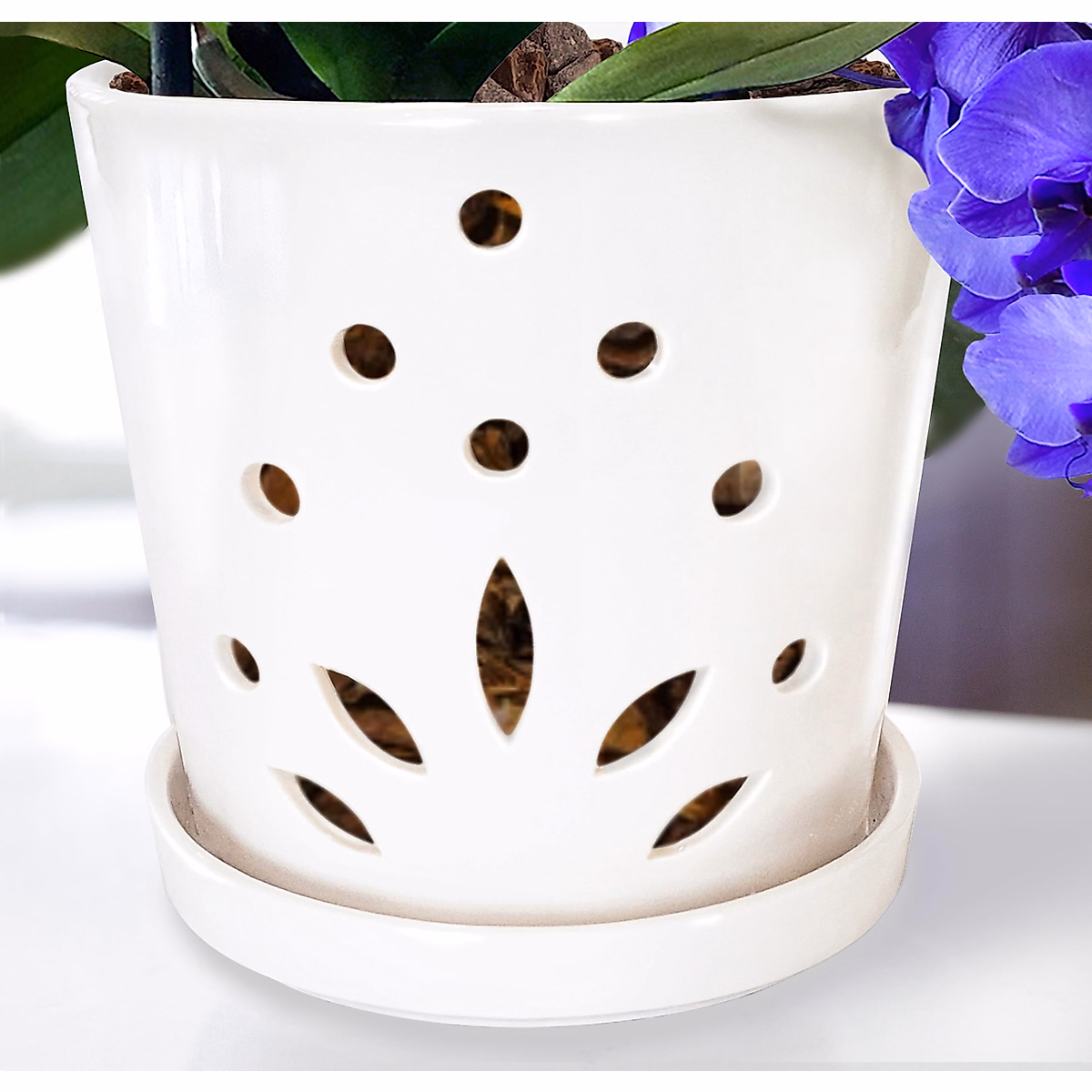 Atri Orchid Pot with Holes–6.5" Porcelain Indoor Orchid Planter–Large Orchid Pots for Repotting–Ceramic Orchid Planter–Drainage Holes