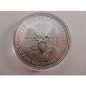 1996 American Eagle not perfect condition Dollar Nearly Mint State