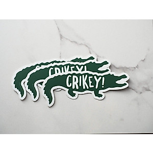 Crikey Sticker, Cute Crocodile Stickers for Hydroflask, Crocodile Dundee Quote, Croc Hunter Australian Sayings, Aussie Quotes, Reptile Decal