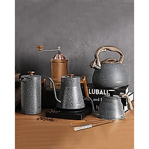 POLIVIAR Tea Kettle, 2.7 Quart Natural Stone Finish with Wood Pattern Handle Loud Whistle Food Grade Stainless Steel Teapot, Anti-Hot Handle and Anti-Rust, Suitable for All Heat Sources (JX2018-GR20)