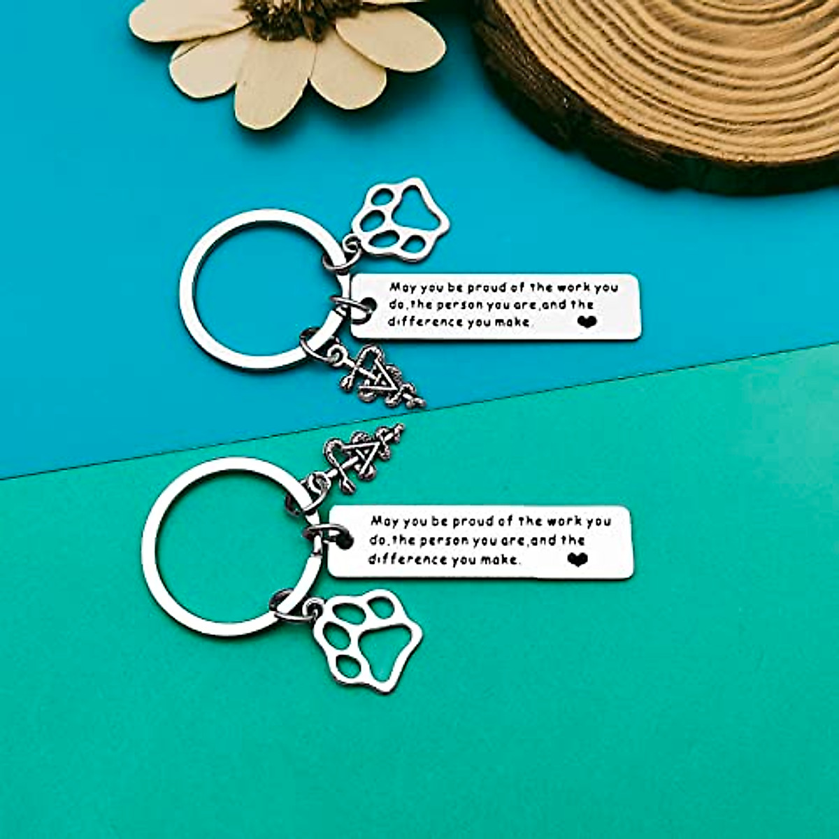 Veterinarian Appreciation Gifts Vet Tech Keychain Thank You Gifts for Animal Rescue Veterinary Medicine Student Graduation Gift Veterinarian Nurse Gift Future Veterinary Soon to Be Veterinarian Gifts