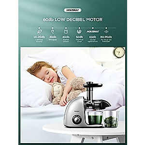 Slow Juicer Machines, HOUSNAT Cold Press Juicer Extractor for Fruits & Vegetables Easy to Clean, 2-Speed Mode with Quiet Motor & Reverse Function, Slow Masticating Juicer with Recipe (Silver Gray)