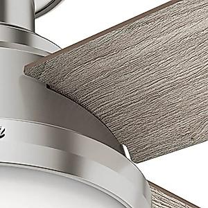 Hunter Fan Company 50282 Hunter Dempsey Indoor Low Profile Ceiling Fan with LED Light and Remote Control, 44", Brushed Nickel Finish