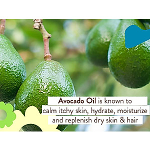 Babo Botanicals Sheer Zinc Mineral Sunscreen Sport Stick SPF30- Natural Zinc Oxide- Shea Butter- Fragrance-Free - Water Resistant - MADE SAFE Certified