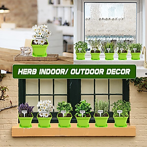 10 Herb Seeds Garden Starter Grow Kit with Green Pots, Markers, Nutritional Soil, Watering, Herb Clipper, Complete Indoor Potted Plant Growing Set for Kitchen DIY