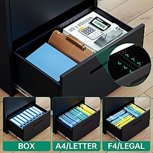 Letaya 2 Drawer Lateral File Cabinets with Lock,Metal Printer Stand Filing Organization Cabinets for Home Office,Hanging Files Letter/Legal/F4/A4 Size (Black)