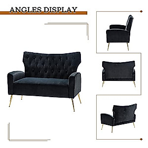 HULALA HOME Velvet Loveseat Sofa with Wingback & Gold Legs, Modern Button-Tufted 2-Seater Sofa for Living Room Bedroom, Comfy Upholstered Small Love Seat Couch, Black