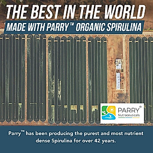 Organic Spirulina Powder - Made with Parry® Spirulina. The Best Spirulina in The World, Highest Nutrient Density - Non-Irradiated, 4 Organic Certifications, Vegan Farming Process (75 Servings - 8 oz.)