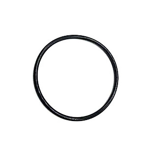 87300400 O-343 Body O-Ring for Pentair Pool & Spa Filter