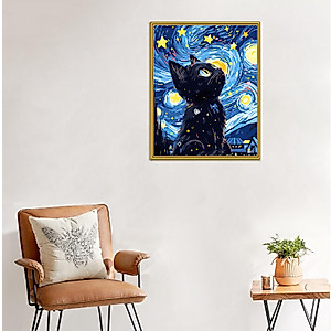 Yunnuo Paint by Numbers for Adults Black Cat, Paint by Numbers kit on Canvas for Beginners, Starry Night Oil Painting Set Craft Supplies, 3 Paintbrushes and Acrylic Paint 16x20 Inch