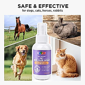 HICC GROOM! Hot Spot Treatment and Itch Relief Spray for Dogs & Cats, Rapidly Alleviate Dry Itchy Skin, Skin Allergies, Scratching, Excessive Licking, Wound Wash Spray, 3.4 Fl Oz