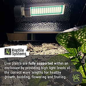Reptile Systems New Dawn LED Compact Lamp, 6.69”: 6500K, 13W – Full Spectrum LED Luminaire Lighting for Natural Plant Growth in Terrariums, Vivariums, Hydroponics & Aquaponics