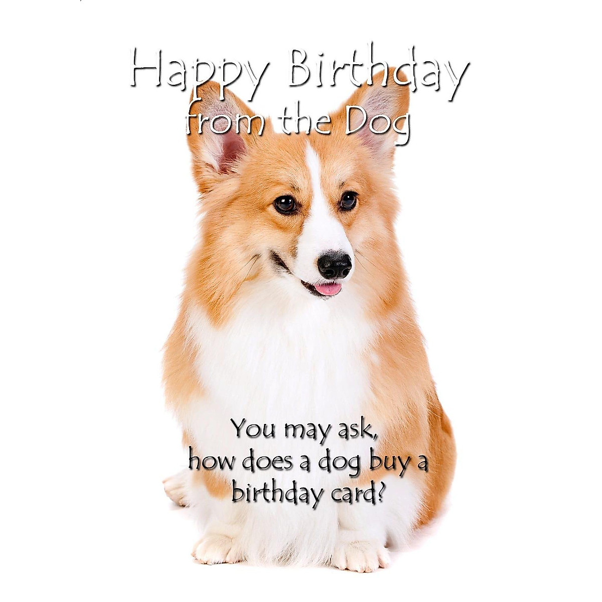 CafePress From The Corgi Birthday Card Folded Greeting Card Matte