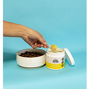 Dog Advanced Hip and Joint Powder by Good Trouble Pets - Joint Supplement for Dogs with Vitamins, Supports Healthy Joints and Prevents Arthritis in Dogs, Puppy Vitamins and Supplements (4.8 oz, Beef)