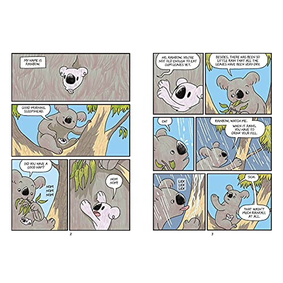 Surviving the Wild: Rainbow the Koala