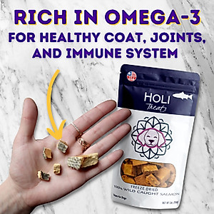 HOLI Freeze Dried Salmon Dog Treats - with Omega 3 and 6 Fish Oil - All Natural Dog Treats - Human Grade - Wild Caught Skin on Salmon - Made in USA - Grain Free - Diabetic Friendly