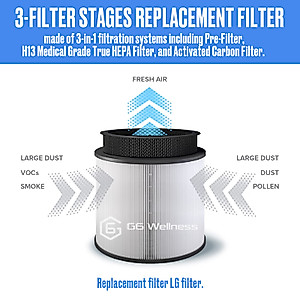 G6 Wellness Replacement H13 True HEPA Filter Compatible with LG PuriCare 360 Air Purifiers AS560DWR0