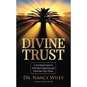 Divine Trust: A Practical Guide to End Your Suffering and Find Your Way Home