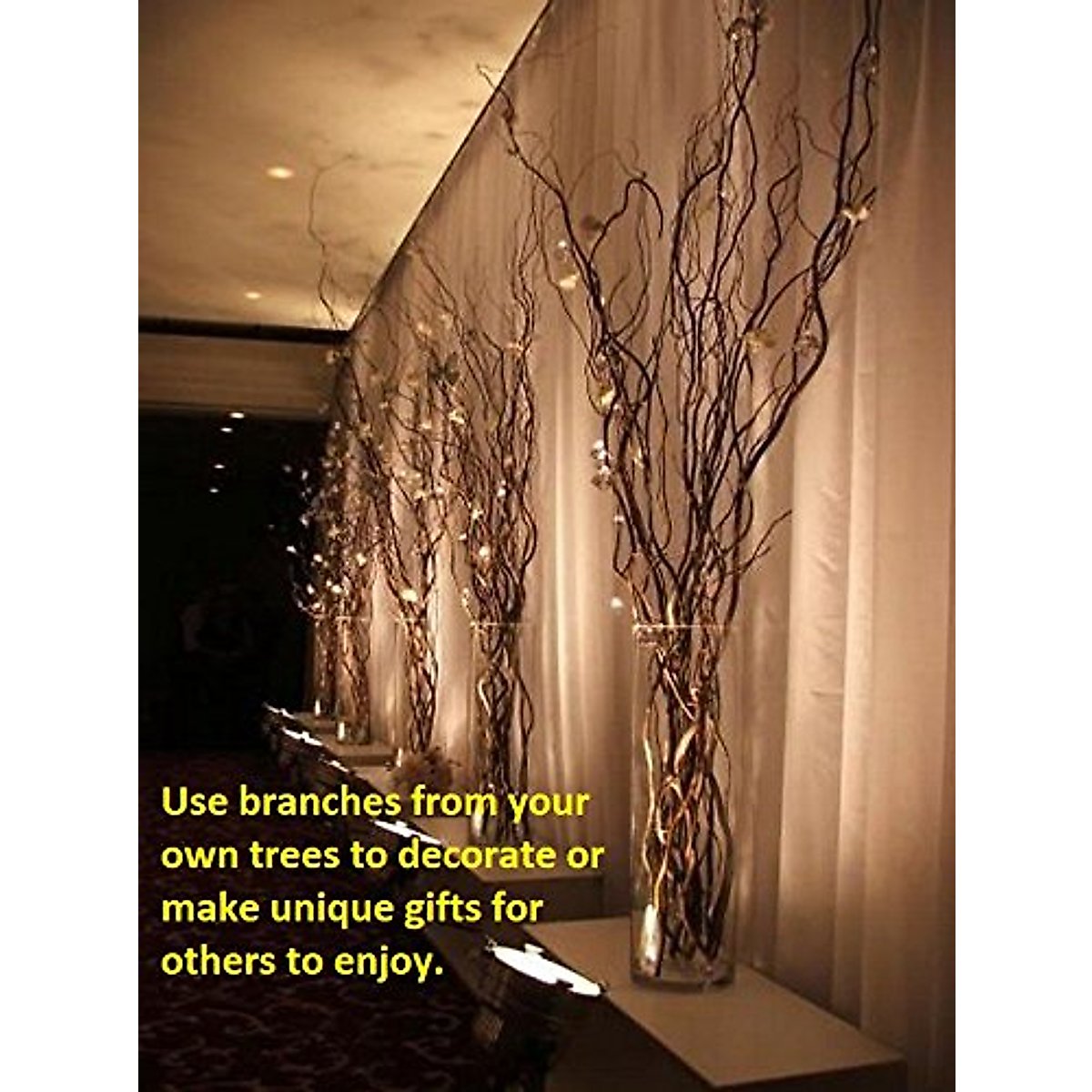 Willow Tree Bundle - 10 Fast Growing Aussie Willow Trees + 4 Weeping Willow Trees + 2 Corkscrew Willow Tree - Ready to Plant - Indoor/Outdoor Live Tree Plants - Fast Privacy and Unique Look all in One