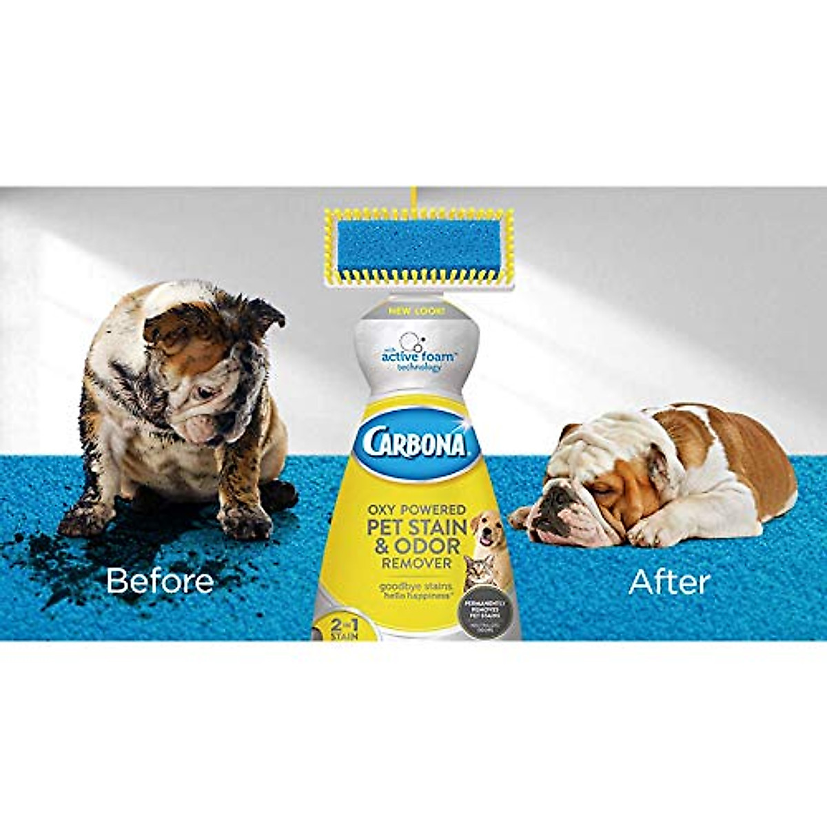 Carbona Oxy-Powered Pet Stain & Odor Remover w/ Active Foam Technology | 22 Fl Oz, 1 Pack
