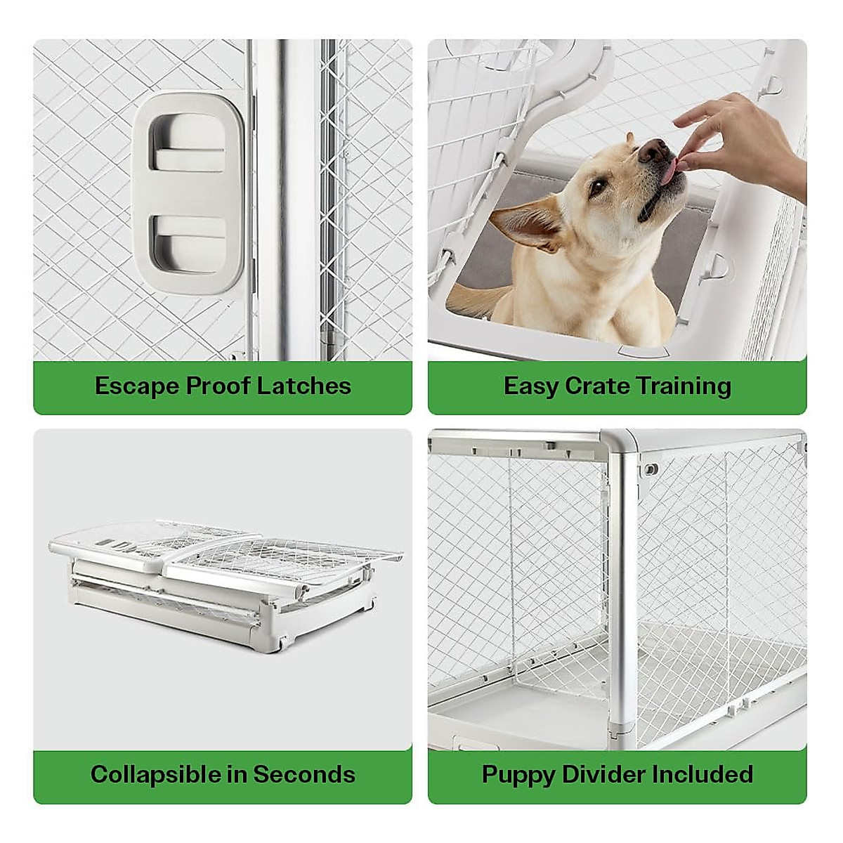 DIGGS Revol Collapsible Dog Crate with Wheels - Premium Portable Dog Crate - Safe, Stylish, and Convenient Indoor Kennel (Ash, Intermediate)