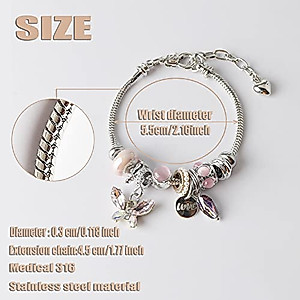 DS Charm Bracelets for girls,exquisite cute cartoon friendship bracelets Stainless Steel Bangle with birthday Gift box, Adjustable girls jewelry Suitable for holiday gifts (Pink Butterfly)