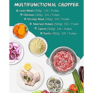 Meat Grinder Electric Food Chopper Processor by Homeleader 8 Cup Chicken Grinder Chopper with Stainless Steel Bowl for Lean Ground Meat Vegetables Fruits Nuts Ice Fast and Slow 2 Speeds 4 Sharp Blades Pure Copper Motor
