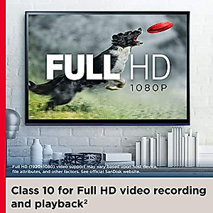 SanDisk 32GB (Pack of 2) Ultra microSDHC UHS-I Memory Card (2x32GB) with Adapter - SDSQUA4-032G-GN6MT