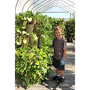 Greenstalk Patented Large 5 Tier Vertical Garden Planter with Patented Internal Watering System Great for Growing a Variety of Strawberries, Vegetables, Herbs, & Flowers (Stunning Stone)