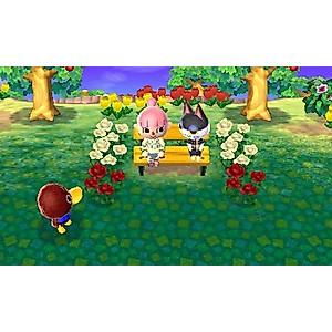 Animal Crossing New Leaf -Nintendo 3DS (World Edition)