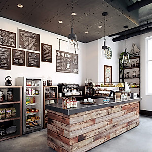 EdgeStar VBM101 22 Inch Wide 10.1 Cu. Ft. Commercial Beverage Merchandiser With Temperature Alarm and Reversible Door - Stainless Steel