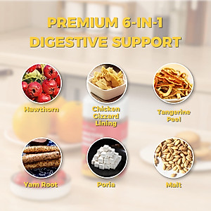 Nature's Key Appetite Booster Gummies - for Kids to Eat More, Support Appetite Stimulant and Weight Gainer -Hawthorn Flavor (120 Count, Pack of 1)