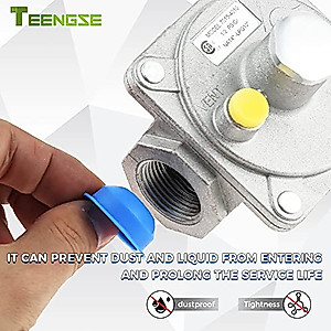 TEENGSE Natural Gas Pressure Regulator, 3/4" FNPT Thread Gas Propane Pressure Regulator, Adjustable LPG/NG Grill Regulator for NG/LPG Applications