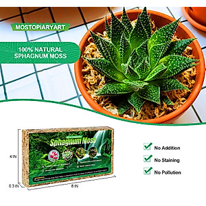 Mostopiaryart Sphagnum Moss Perfect for Plant Propagation, Extremely Strong Water Absorption Ability, Help with Maintain Humidity(3.5OZ)