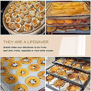 (6 Pack)Silicone Dehydrator Sheets, Dostk Premium Non Stick Dehydrator Mats for Fruit Dryer Mesh, Dehydrator Tray Liner Reusable (14 x 14 inch)