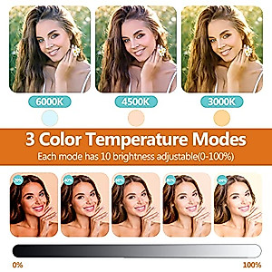 Sensyne Desktop Ring Light for Video Conference Lighting, 10" Ring Light with Stand for Computer Zoom Meetings, Laptop Ring Light for Video Recording/Live Streaming/Make Up/Online Video Call