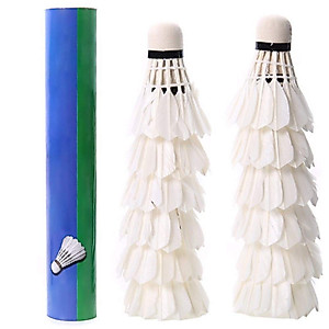 Alapaste 12-Pack Badminton Shuttlecocks Goose Feather Shuttlecocks Stable Durable Sports Training High Speed Badminton Birdies Balls,White