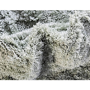 Unique Loom Floral Shag Collection Area Rug-Carved, 4 ft x 6 ft, Green