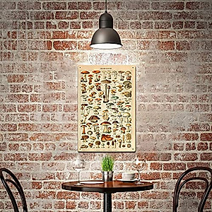Vintage Mushrooms Metal Sign Different Mushroom Species Identification Reference By Adolphe Millot Antiqued Tin Sign for Bedroom Living Room Classroom 8 x 12 Inch