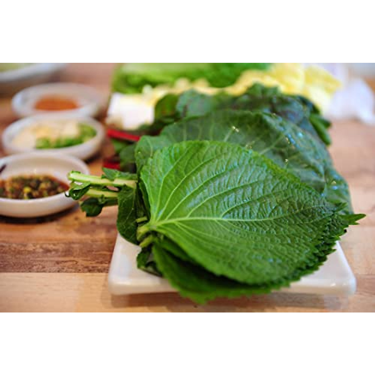 Gaea's Blessing Seeds - Korean Shiso Seeds (Perilla), Heirloom Non-GMO Seeds with Easy to Follow Planting Instructions, Korean Perilla, Open-Pollinated, 94% Germination Rate