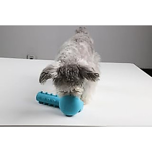iPetz Dog ChewPod (Large/ExtraLarge)