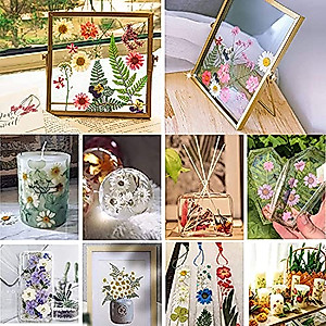 150 Pieces Real Dried Pressed Flowers for Craft Supplies & Materials,Dried Flowers for Resin Molds Silicone Kit Bundle,Scrapbook Supplies,Soap Making