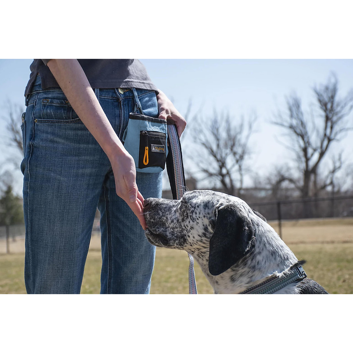 OllyDog Goodie Treat Bag, Dog Treat Pouch, Waist Belt Clip for Hands-Free Training, Magnetic Closure, Dog Training and Behavior Aids, Three Ways to Wear (Pacific Coast)