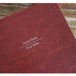 Biblia Bilingüe Reina Valera 1960/ESV Tamaño grande piel marrón / Bilingual Bibl e RVR60/English Standard Large Size Large Print Leather