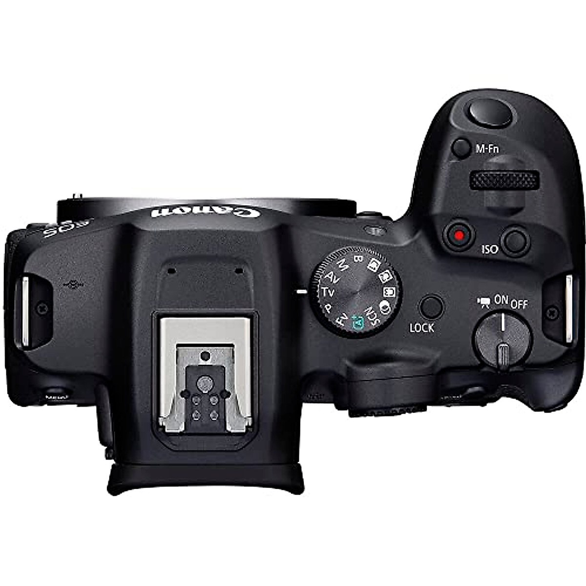 Canon EOS R7 Mirrorless Camera (5137C002) + Canon EF 50mm Lens (0570C002) + Canon Mount Adapter + Sony 64GB Tough SD Card + Filter Kit + Bag + Charger + LPE6 Battery + Card Reader + More (Renewed)